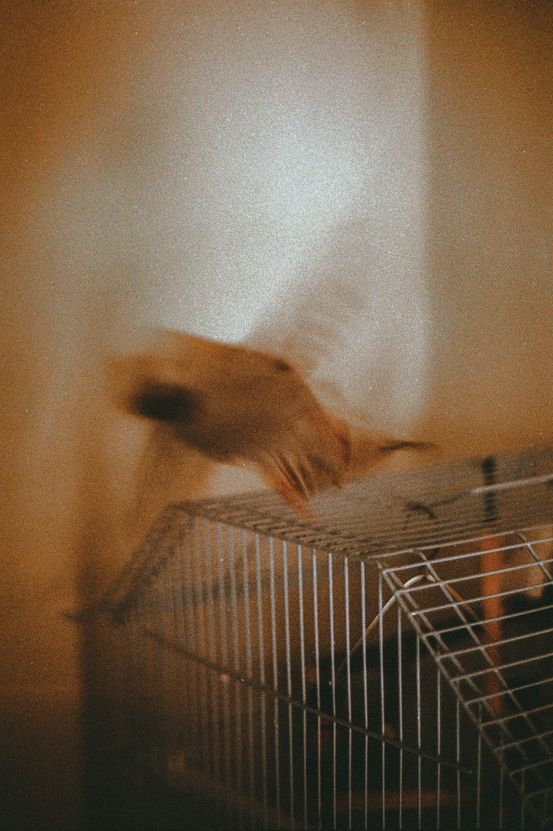 Irene Monteagudo - GrisArt - Volar sin viento